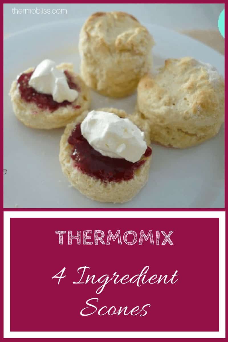 Four Ingredient Scones - Thermobliss