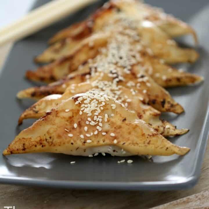Thermomix Gyoza (Pan-Fried) - Thermobliss