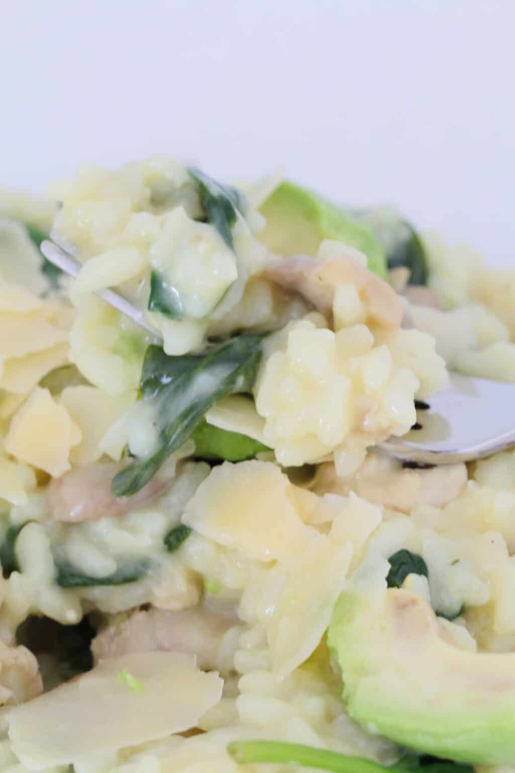 Chicken and Mushroom Risotto - Thermobliss