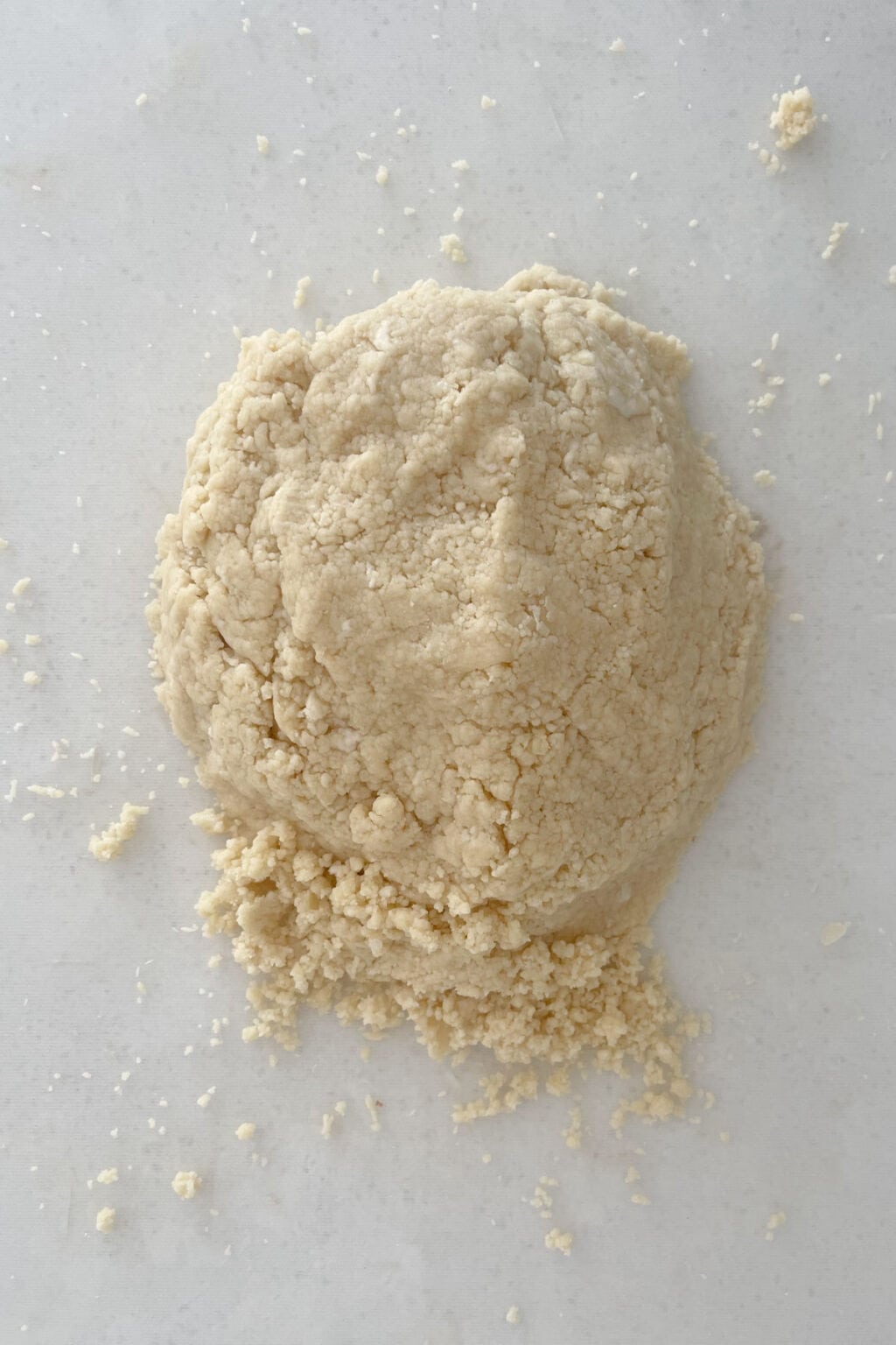 Thermomix Olive Oil Pastry - Thermobliss