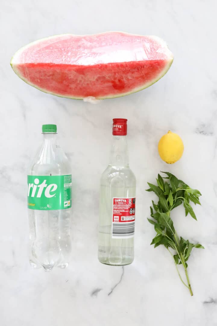 Thermomix Watermelon, Vodka & Mint Cocktail - Thermobliss