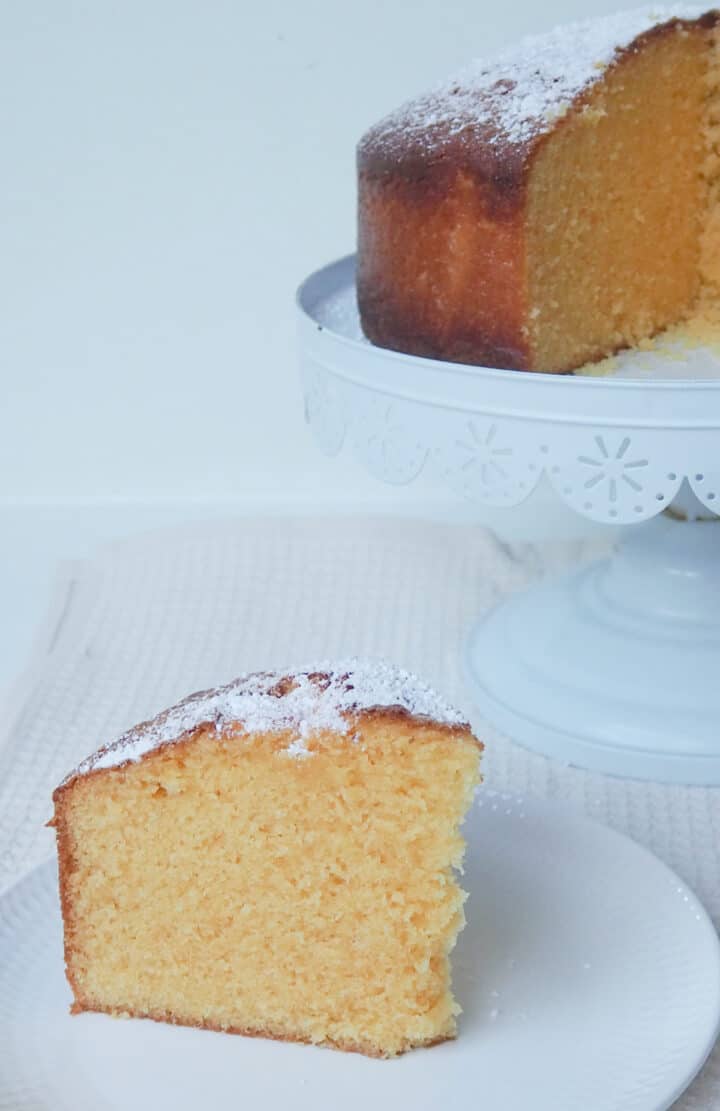 Thermomix Custard Cake - Thermobliss