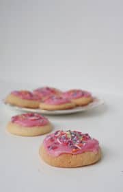 Thermomix Fairy Biscuits - Thermobliss